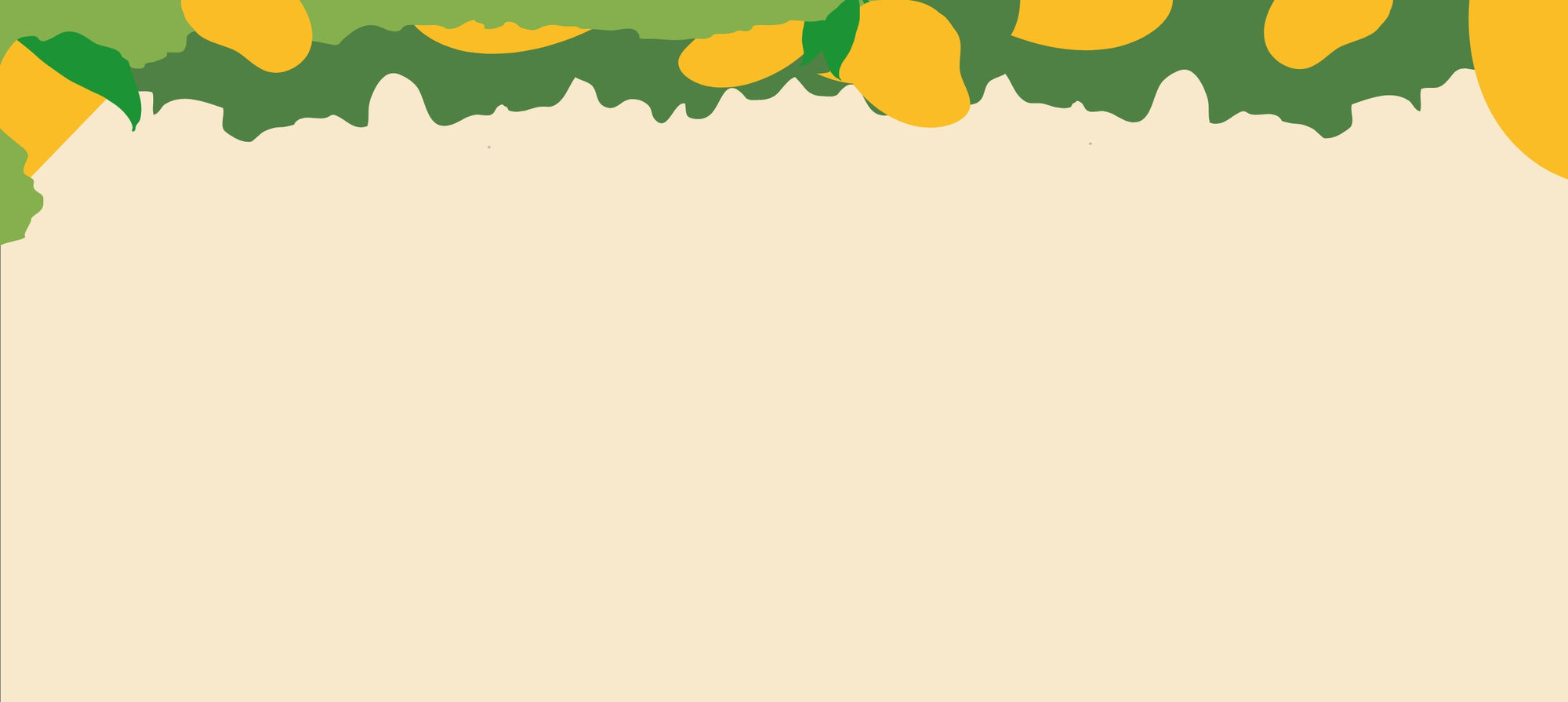 Hint Water: Official Website