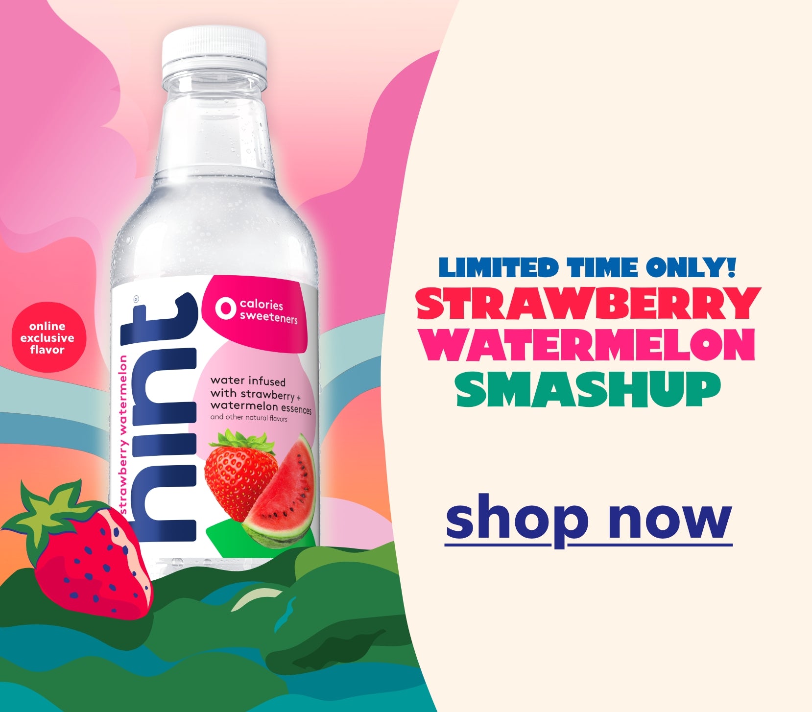 Fruit-Infused Flavored Water by Hint