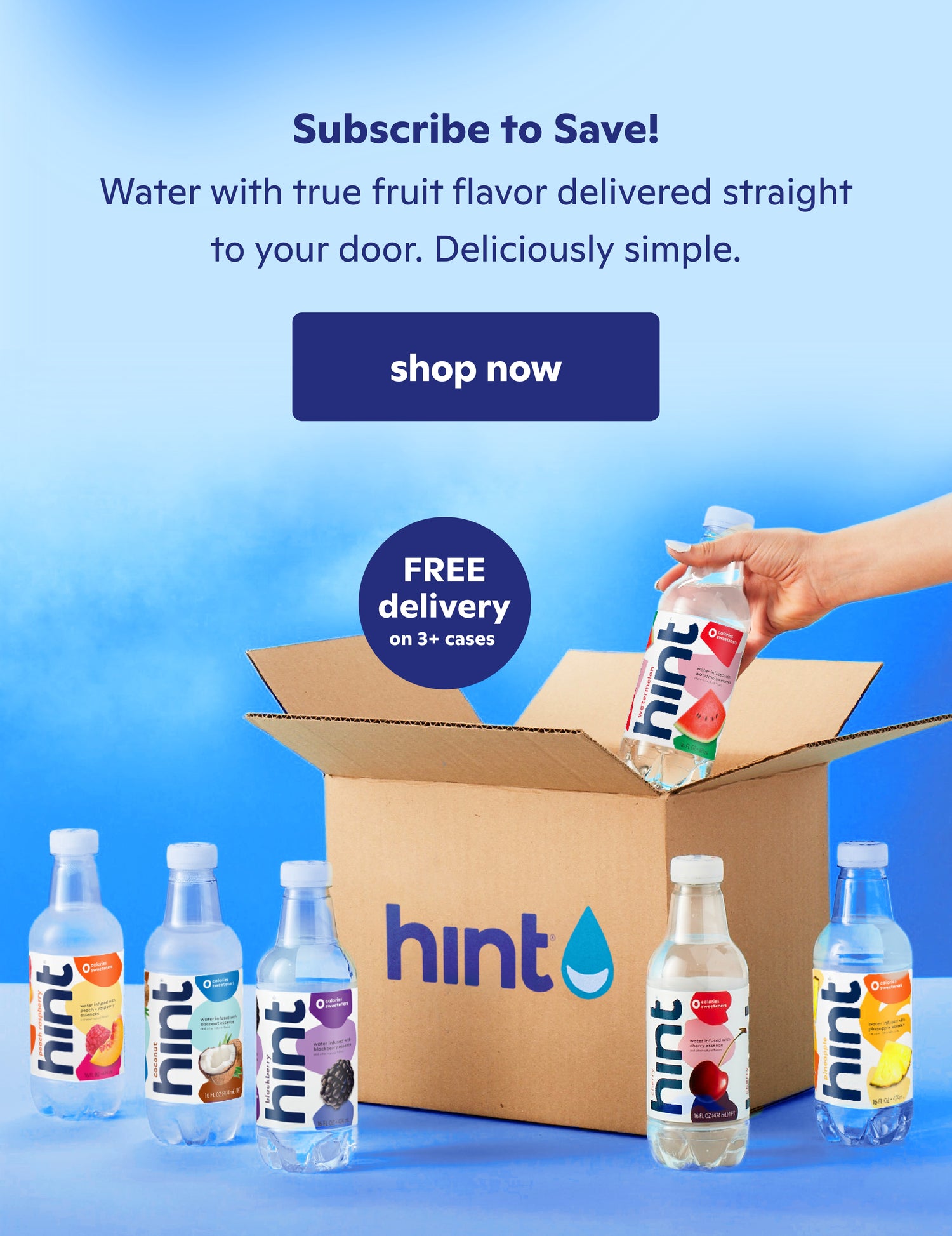 Hint Water: Official Website