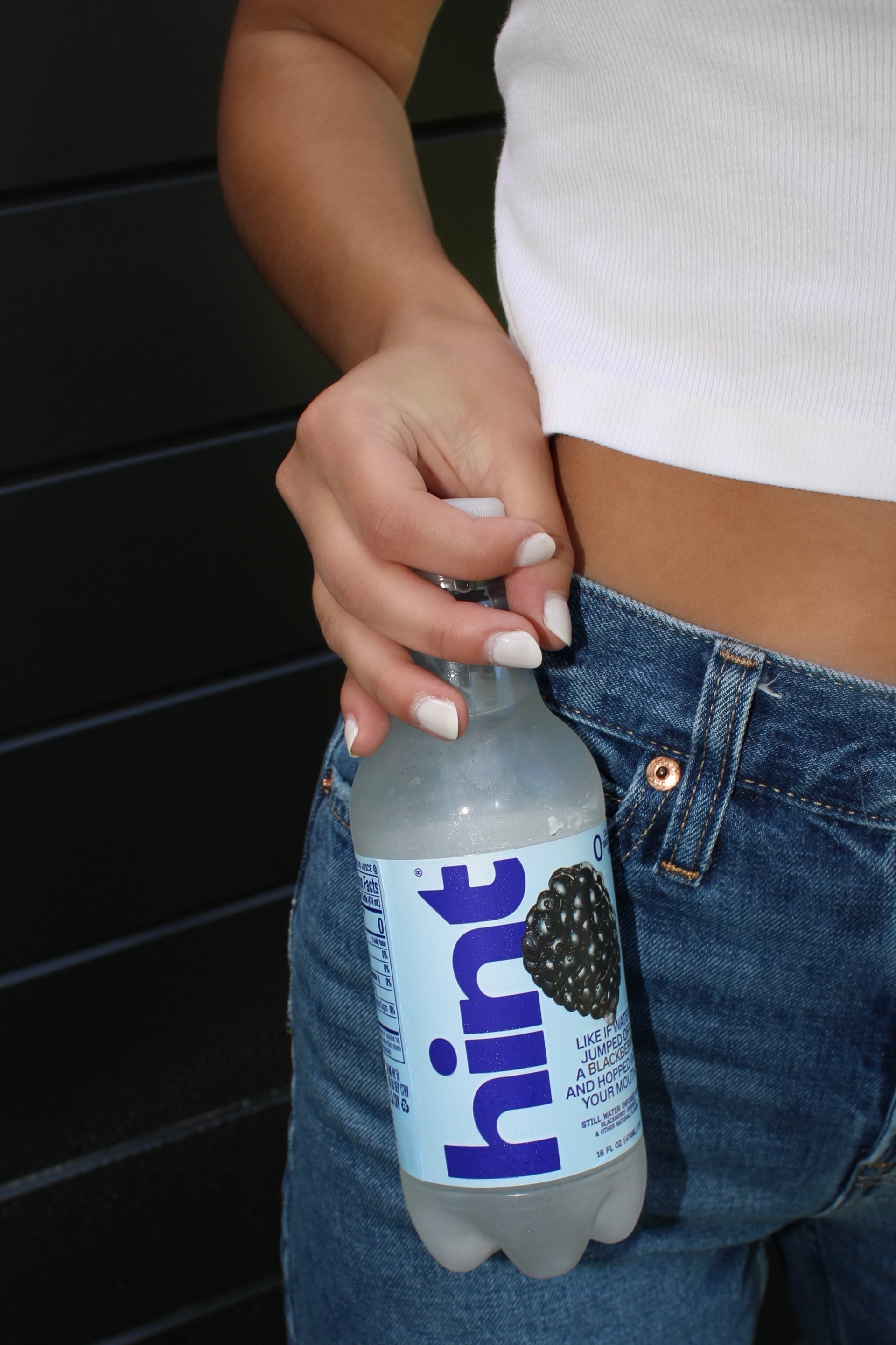 Hint Water Winter Variety Pack 16 oz. | Hint – drinkhint.com